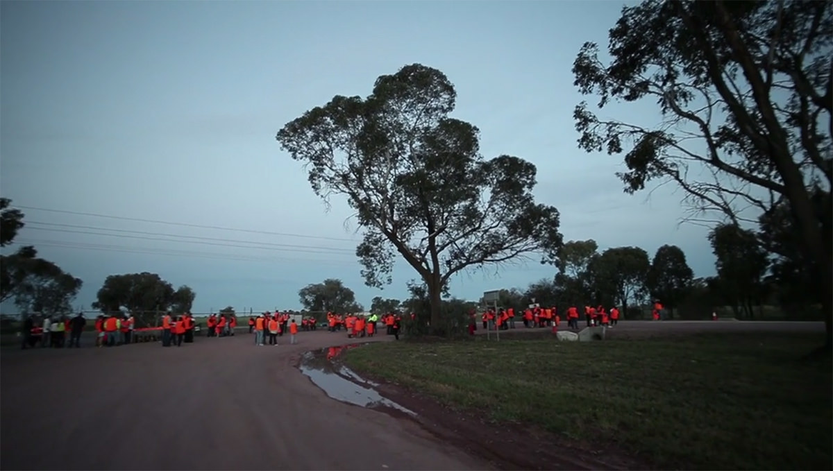 realtime tv: The Cad Factory - SunRice partnership | RealTime — Australia