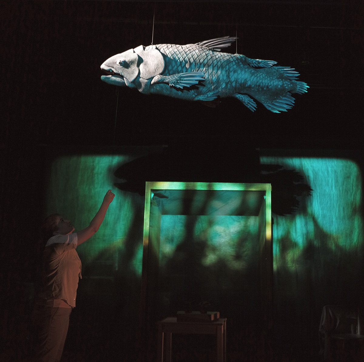 bluebirdfish | RealTime — Australia